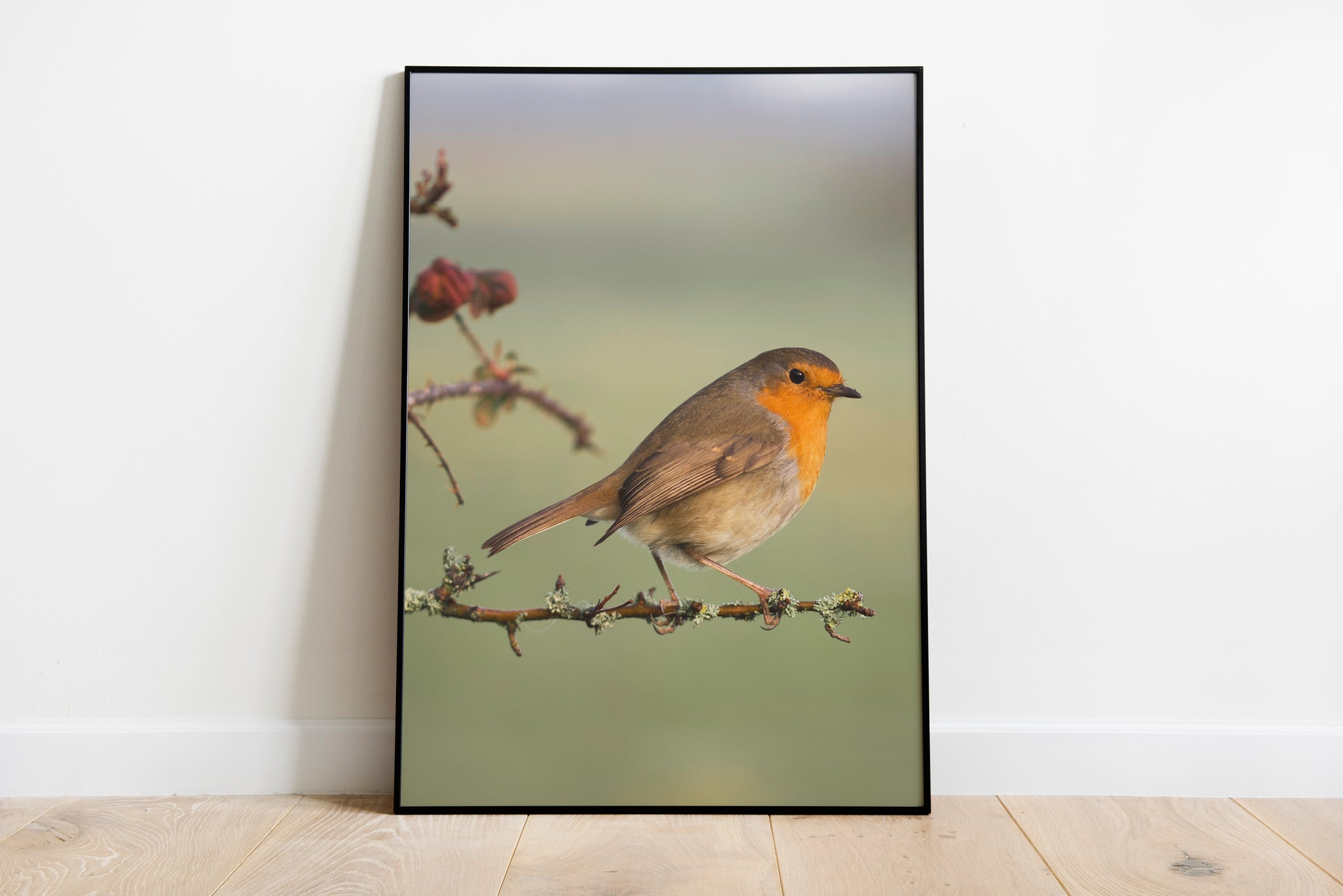 Robin - Print Store | Ocoee House